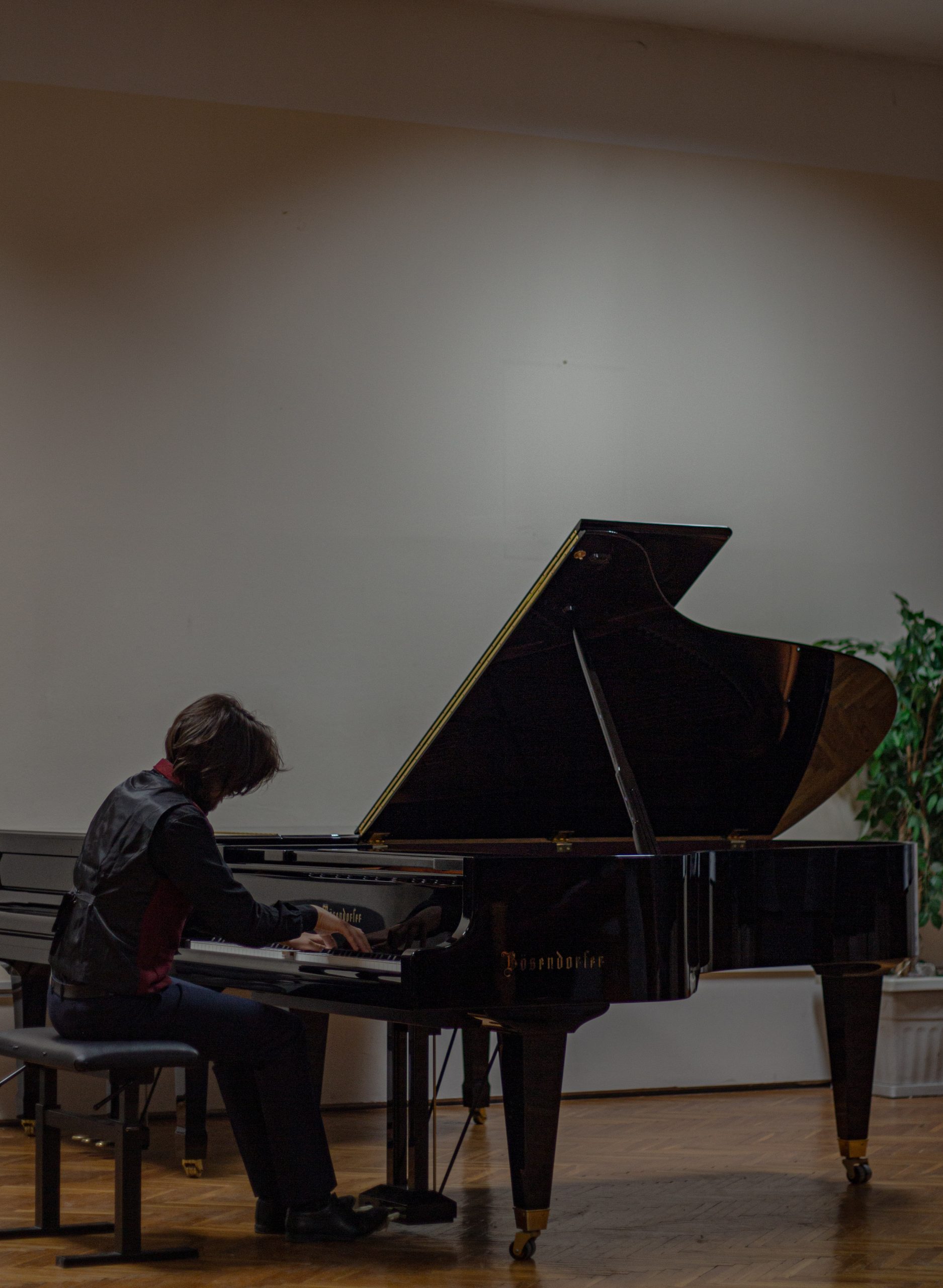 Kenneth Hamilton, piano - Tourism Office Pula